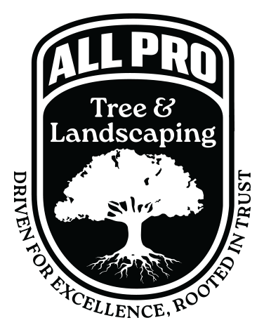 Contact Allpro Tree & Landscaping, Inc.